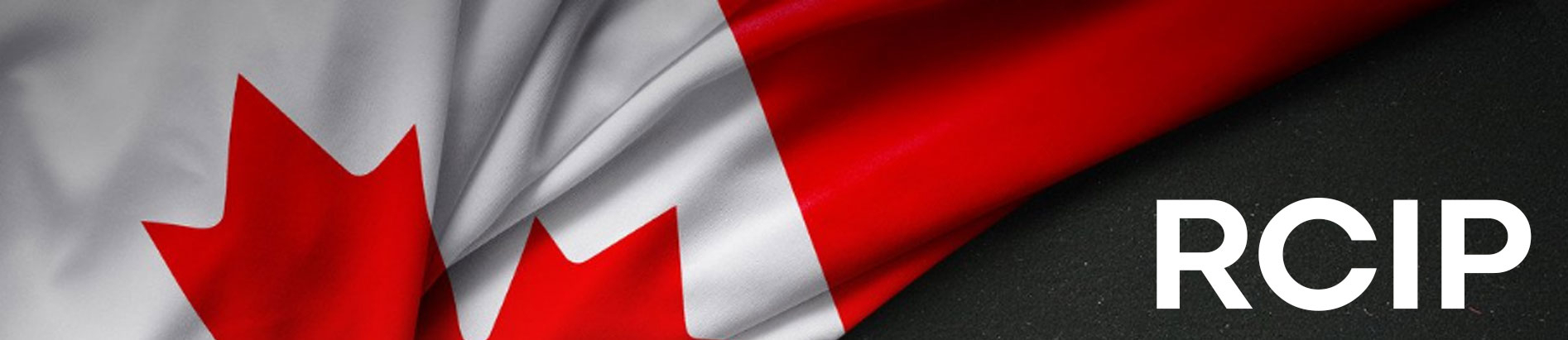 RCIP Timmins NOC Codes 2025: Complete List & Eligibility | CITRN Canada